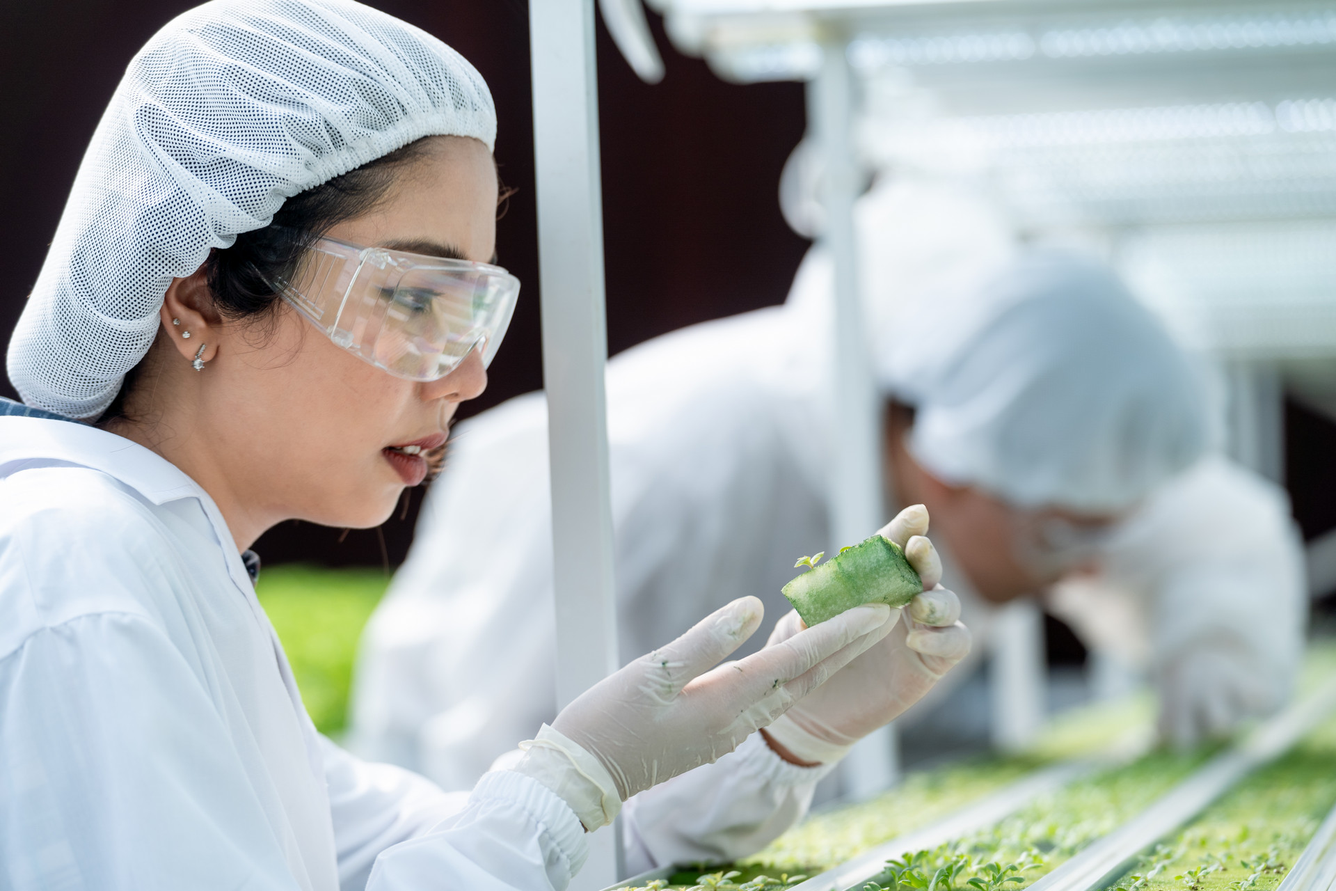 Demystifying Foodtech: Why It Matters