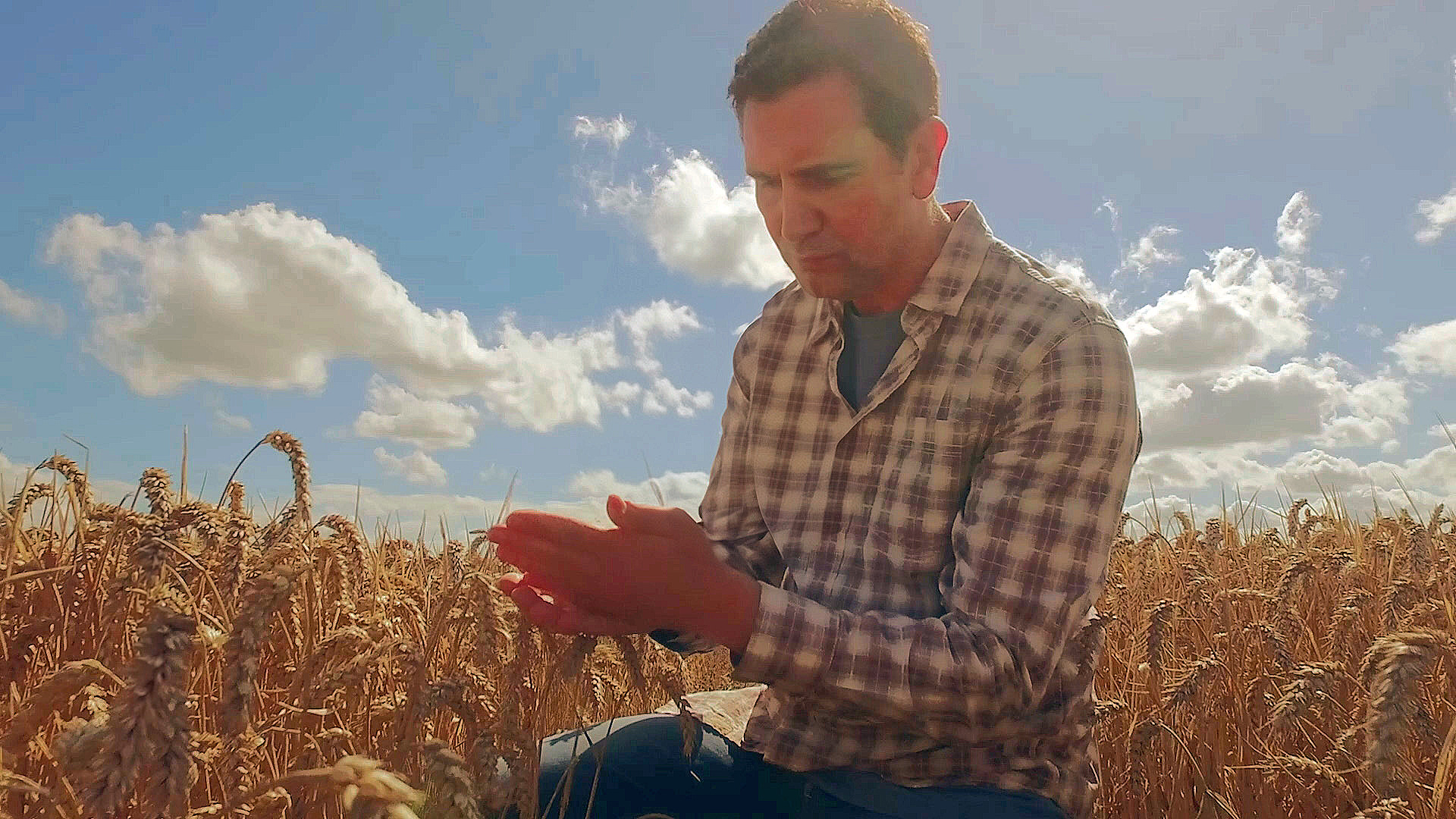 Could Foodtech Innovation Be the Answer to Food Security Challenges?