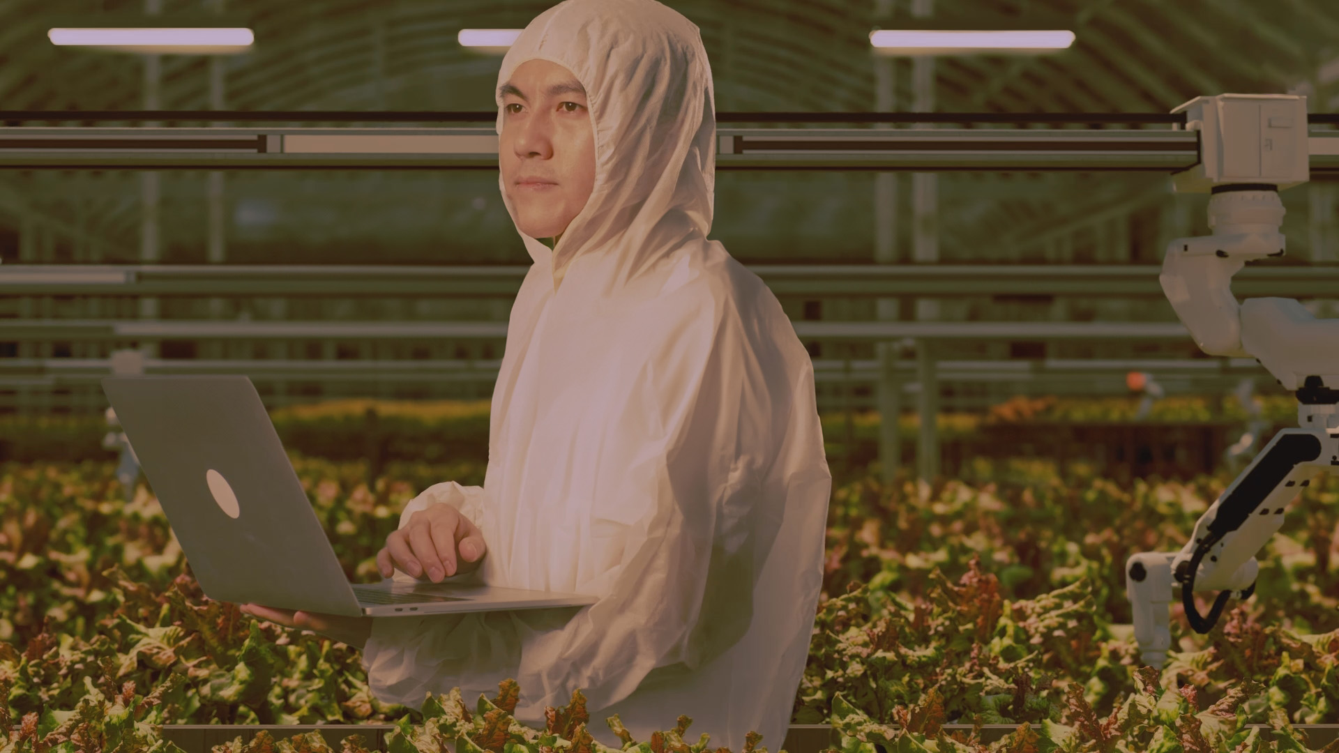 7 Ways AI is impacting Food Tech Industry