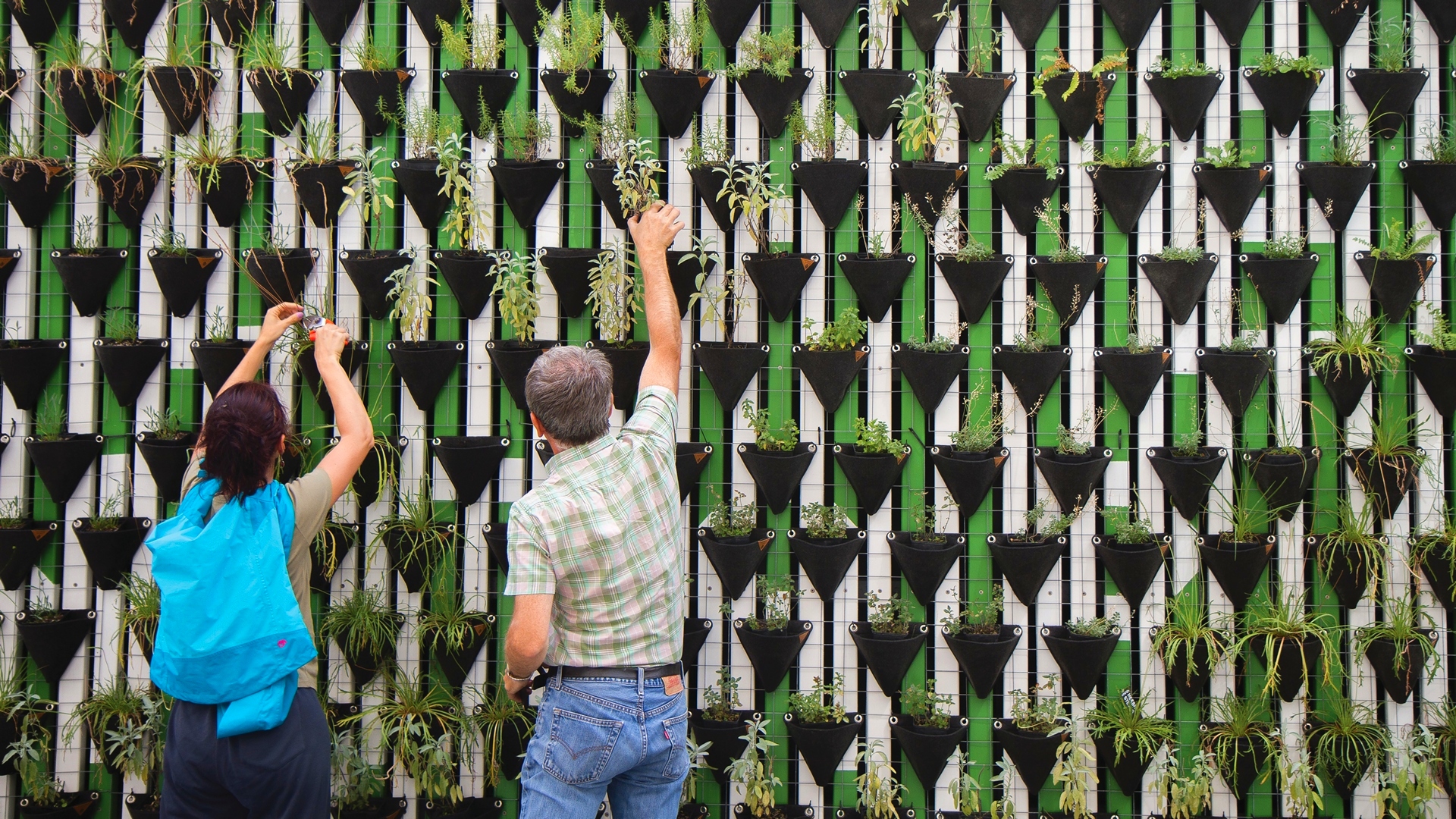 Unlocking Insights: Exploring 5 Impactful Graphs on Impact Investing