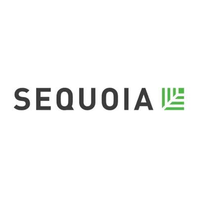 Sequoia Capital India Investor Profile | Lucidity Insights