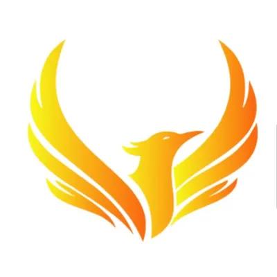 Phoenix VC Investor Profile | Lucidity Insights