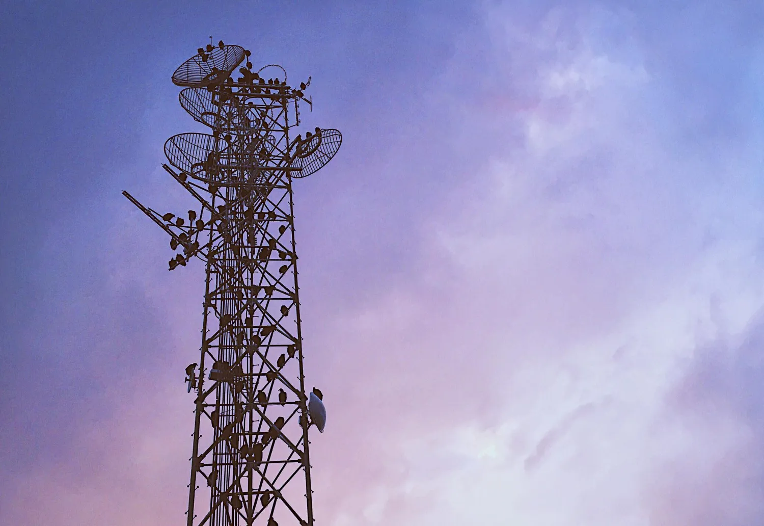 Saudi Arabia's PIF Secures 51% Stake in Telecom Tower Giant TAWAL from STC