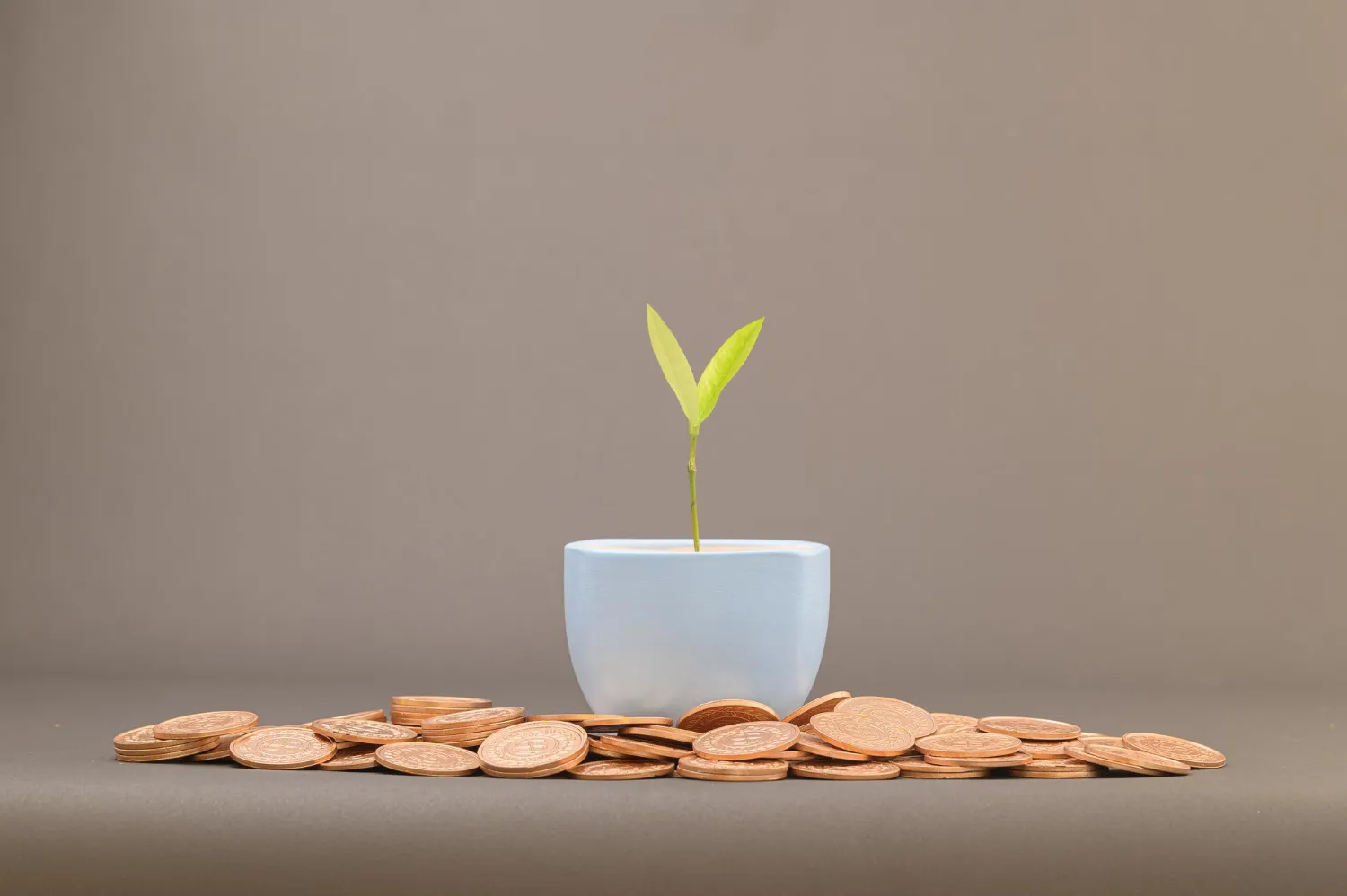 Rasmal Ventures Leads Qatar's Venture Capital Scene with New Innovation ...