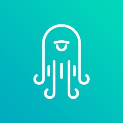 Octo Company Profile, Investors, & Funding | Lucidity Insights