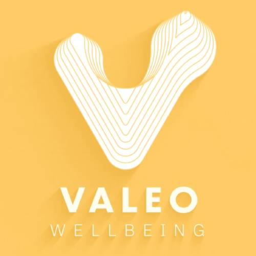Valeo Health Company Profile, Investors, & Funding | Lucidity Insights