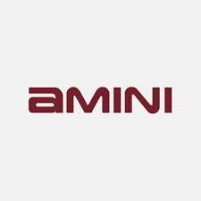 Amini Company Profile, Investors, & Funding | Lucidity Insights