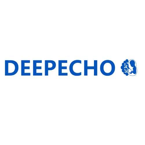 DEEPECHO Company Profile, Investors, & Funding | Lucidity Insights