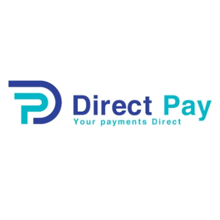 Directpay Company Profile, Investors, & Funding | Lucidity Insights