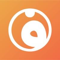 Kaoun Company Profile, Investors, & Funding | Lucidity Insights