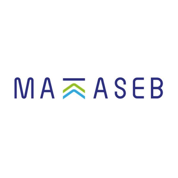 MAKASEB Company Profile, Investors, & Funding | Lucidity Insights