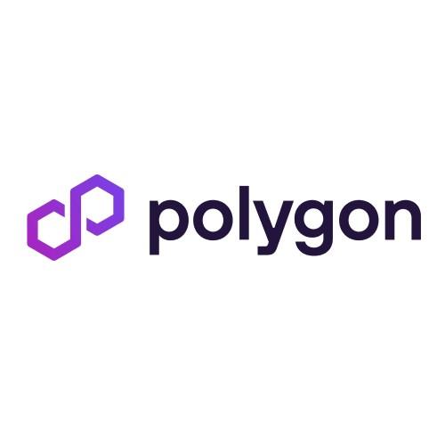 Polygon Company Profile, Investors, & Funding | Lucidity Insights