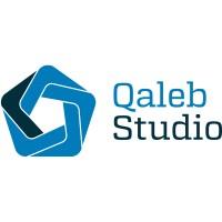 Qaleb Studio Company Profile, Investors, & Funding | Lucidity Insights