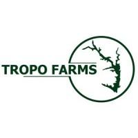 Tropo Farms Company Profile, Investors, & Funding | Lucidity Insights